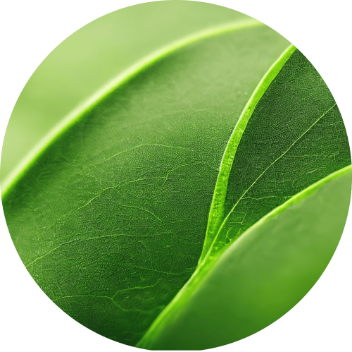 Responsible Investing - Crescent Capital